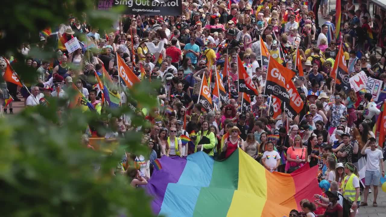 Crowd With Pride Flag - Stock Video | Motion Array