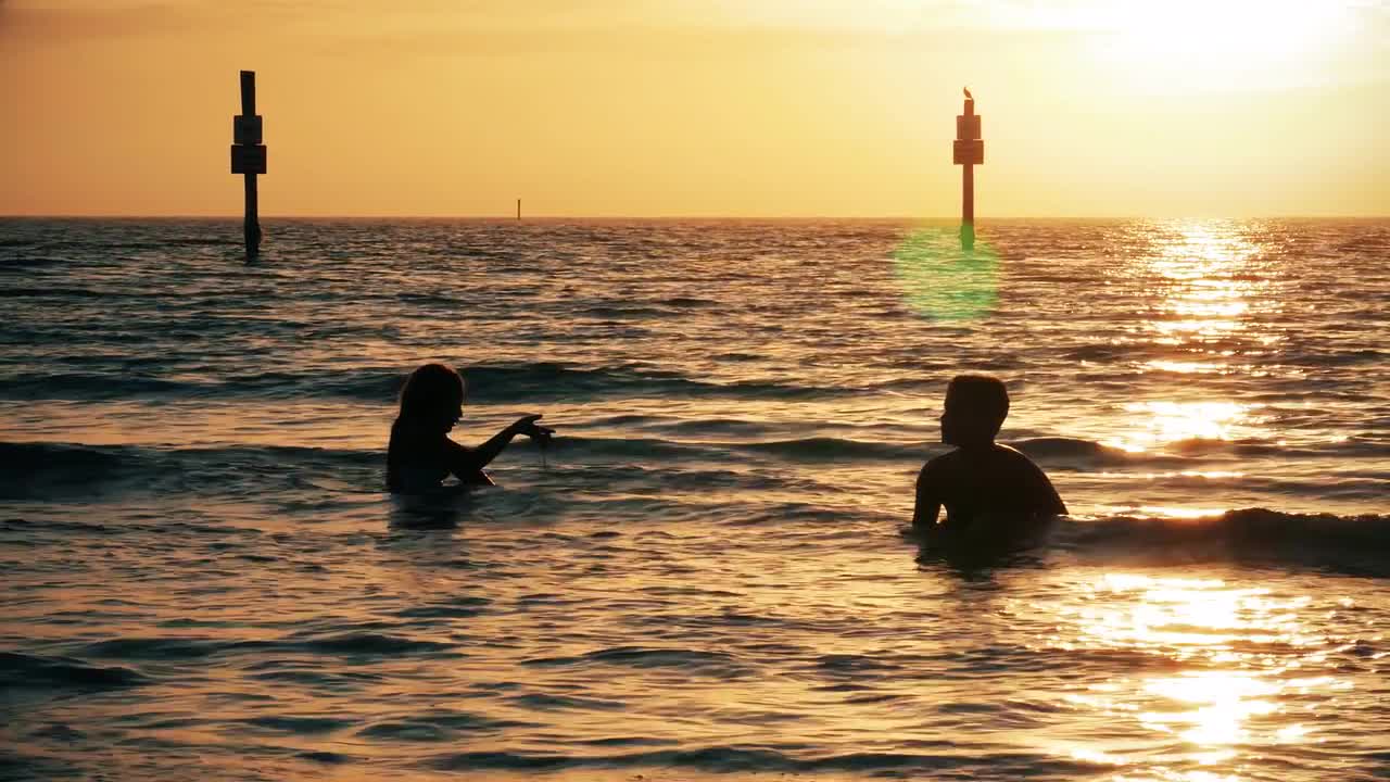Evening Beach Swim - Stock Video | Motion Array