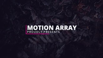 Call-Out Titles - After Effects Templates | Motion Array