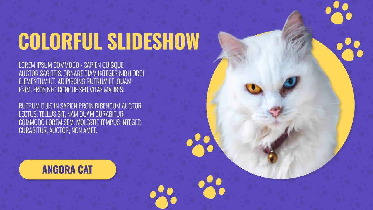 Animal Fresh Slideshow - After Effects Templates | Motion Array
