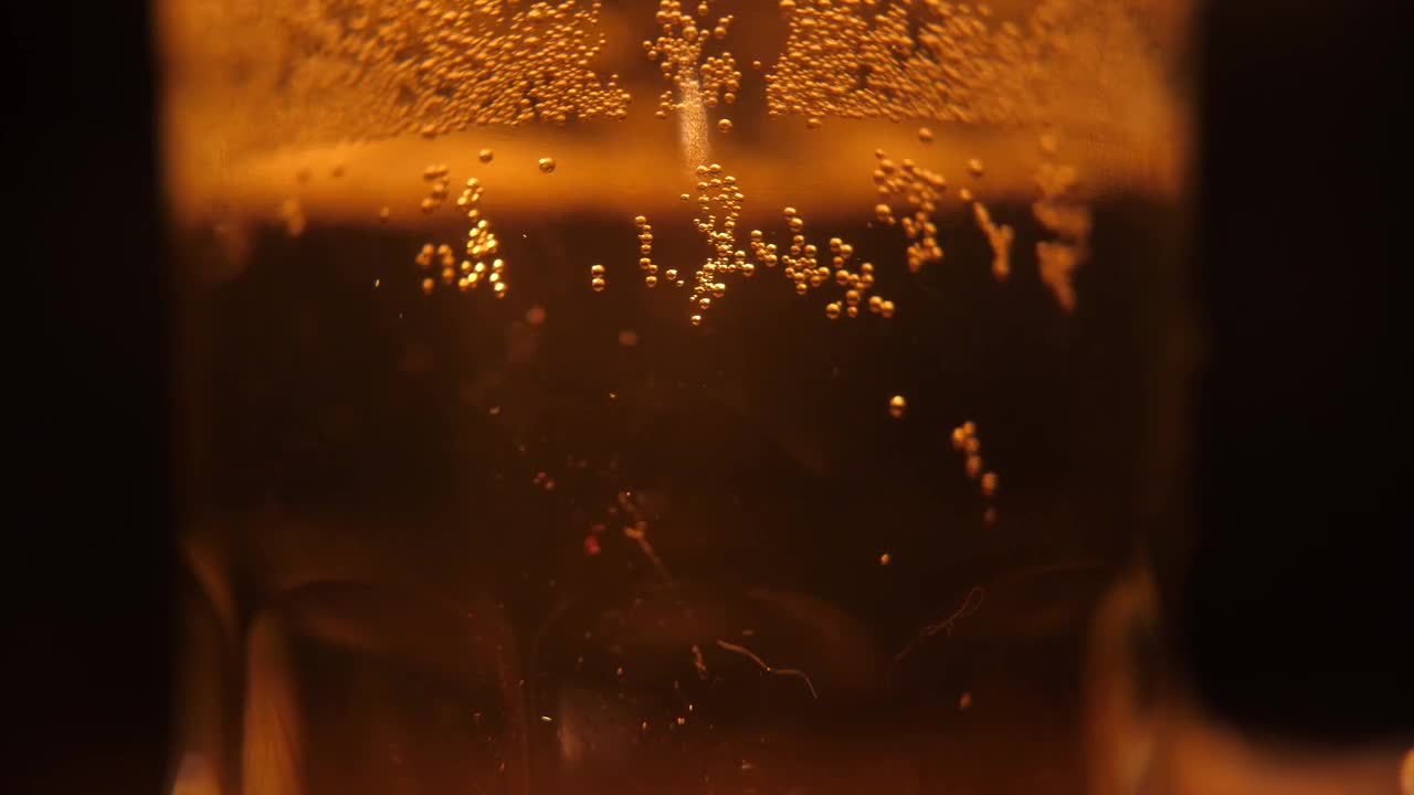 Bubbling Beer - Stock Video | Motion Array