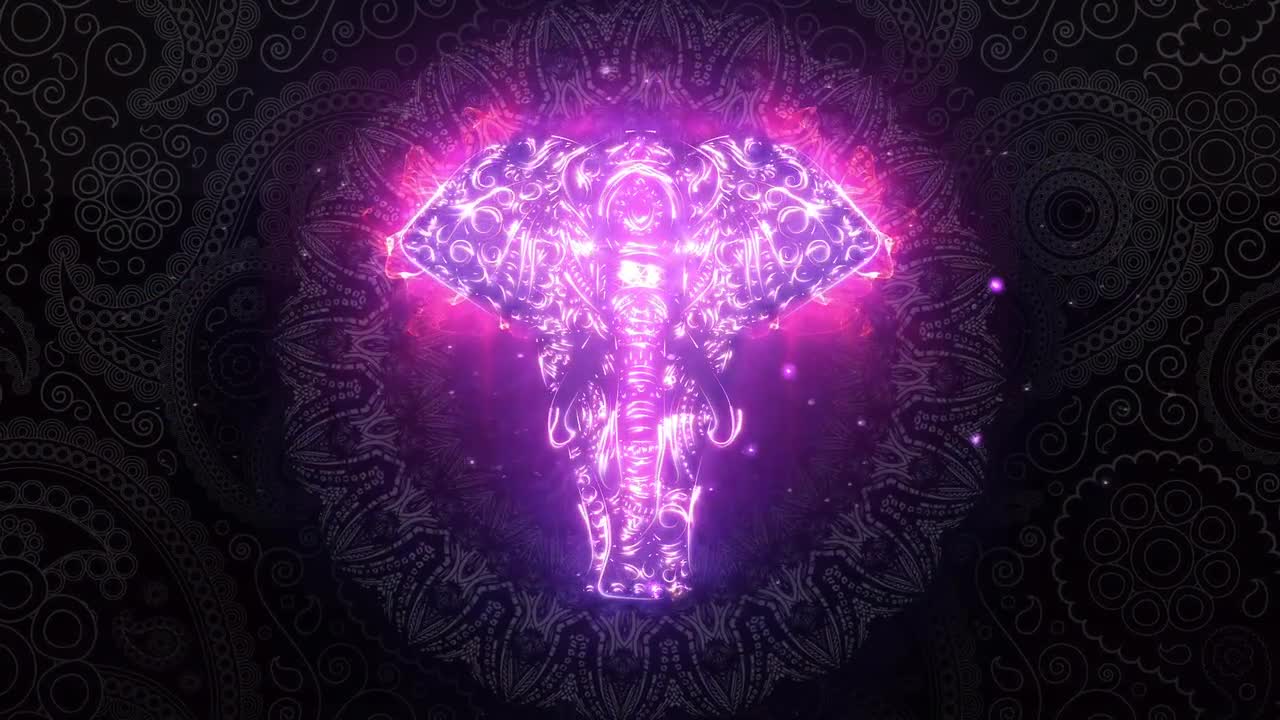 Elephant - Stock Motion Graphics | Motion Array