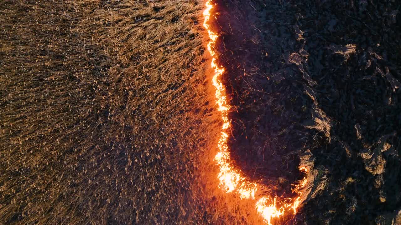 Wildfire - Stock Video | Motion Array