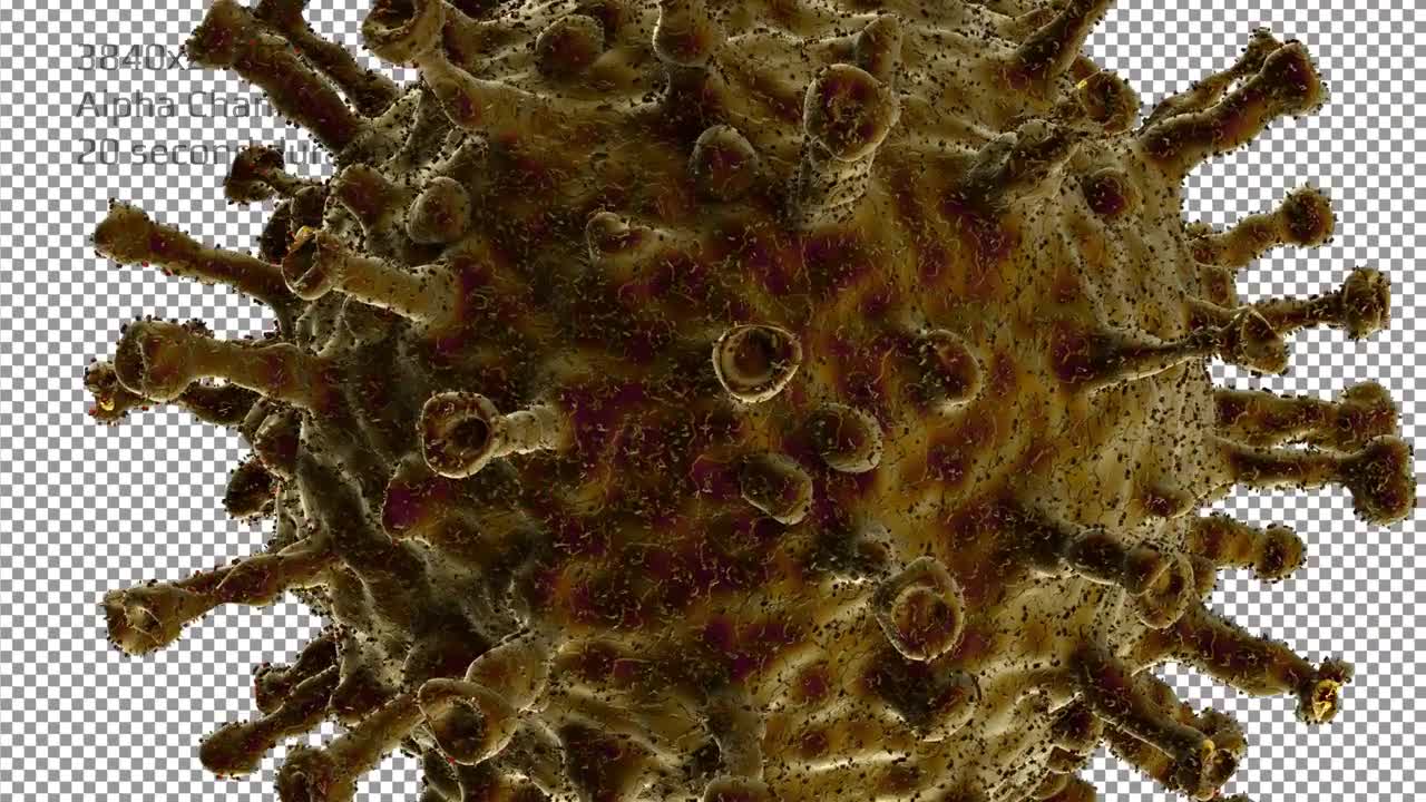 Coronavirus Animation On Alpha - Stock Motion Graphics | Motion Array