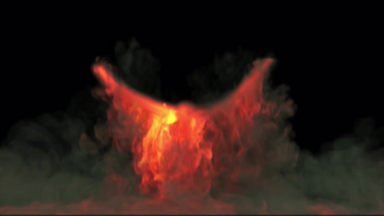 Bird Fire - Stock Motion Graphics | Motion Array