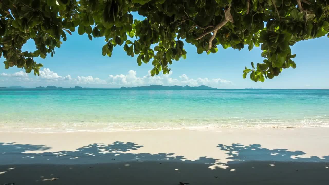 Shady Island Shoreline - Stock Video | Motion Array