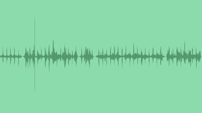 Forest - Sound Effects | Motion Array