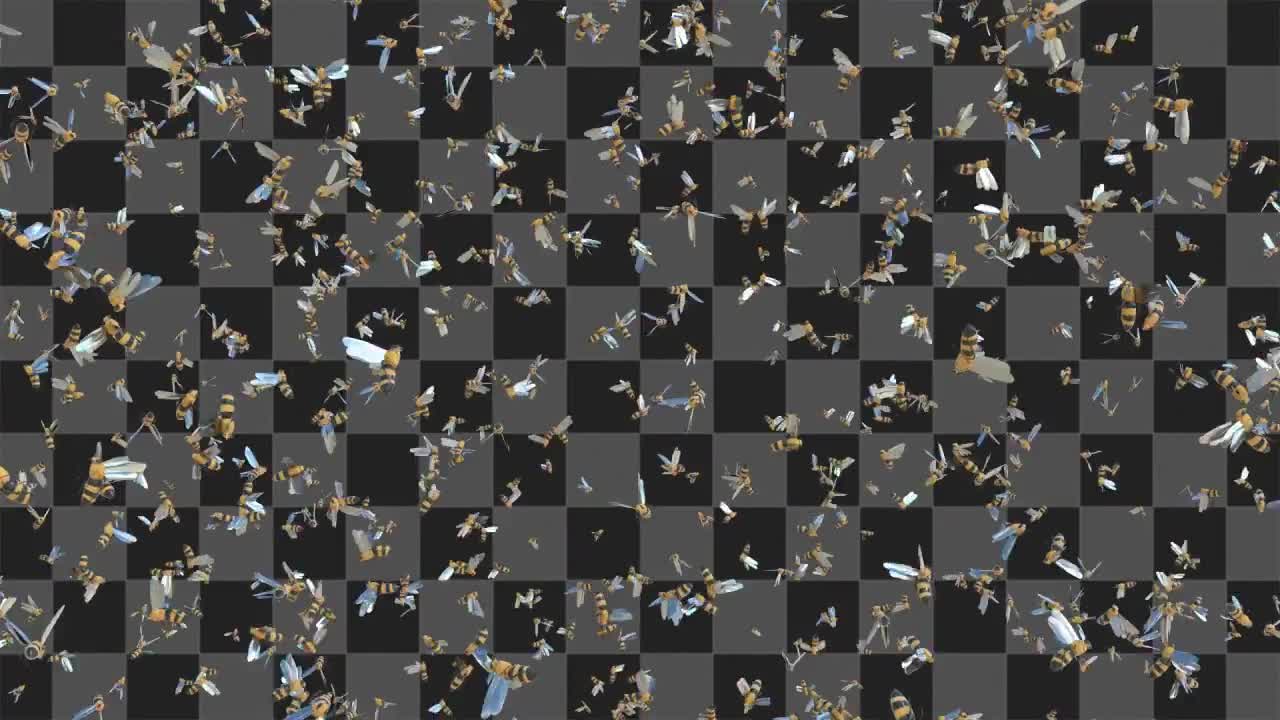 Bees - Stock Motion Graphics | Motion Array
