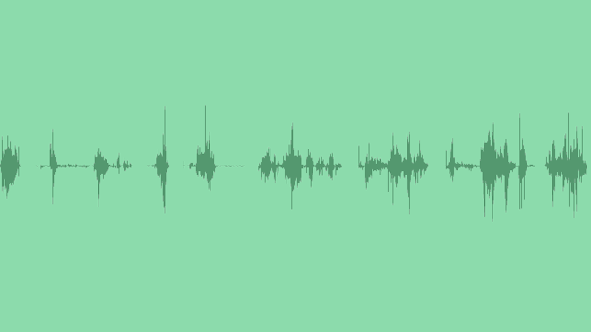 Dropping Coins - Sound Effects | Motion Array