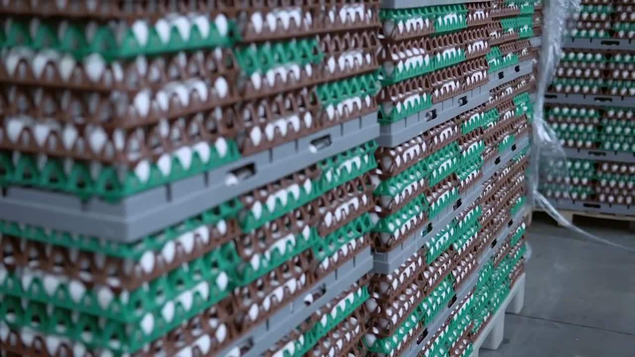 Pallets Of Eggs - Stock Video | Motion Array