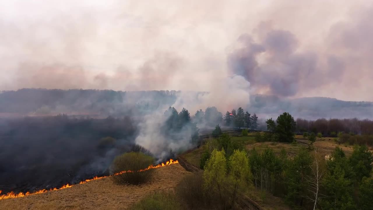 Forest Fire - Stock Video | Motion Array