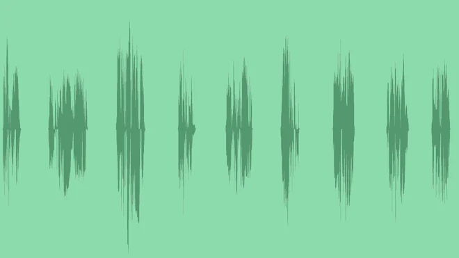 Cat - Sound Effects | Motion Array