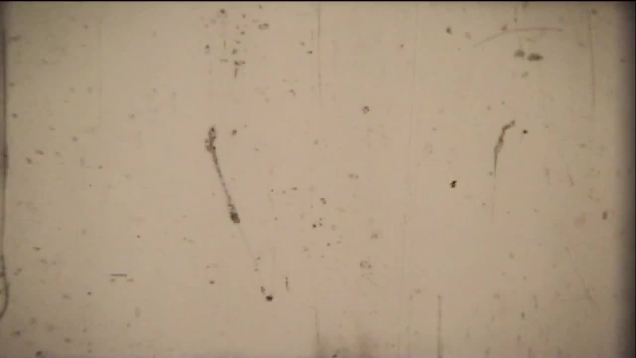 Old Film Scratch - Stock Motion Graphics | Motion Array