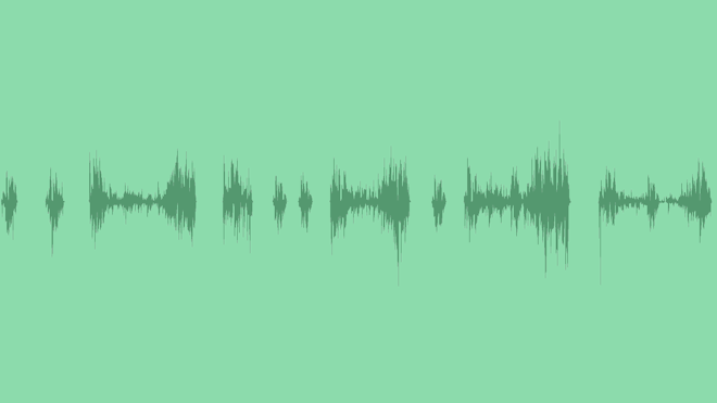 Coin Toss - Sound Effects | Motion Array