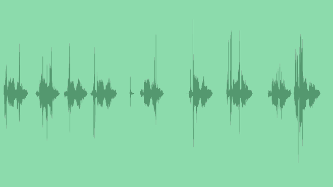 Camera Shutters - Sound Effects | Motion Array