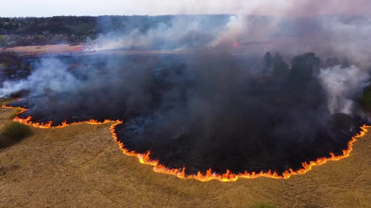 Aerial View Wildfire In Field - Stock Video | Motion Array