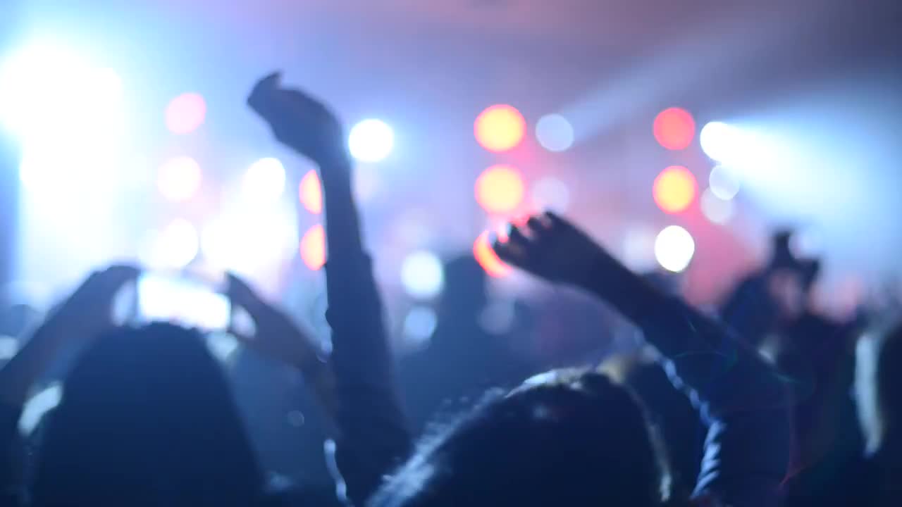 Wild Fans At Music Concert - Stock Video | Motion Array