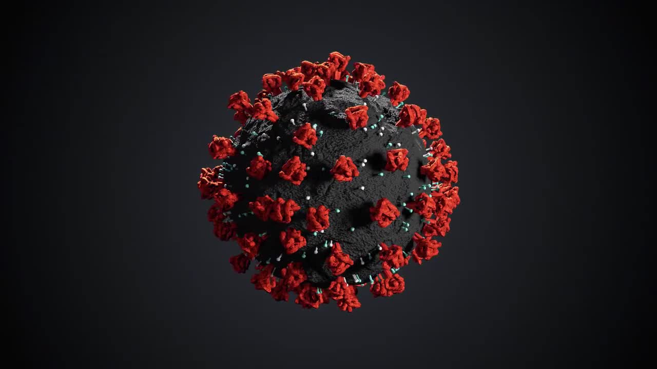 Covid-19 Virus Alpha Pack - Stock Motion Graphics | Motion Array