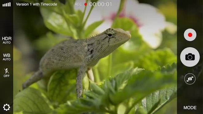 Phone Recording Mode Overlay - Stock Motion Graphics | Motion Array