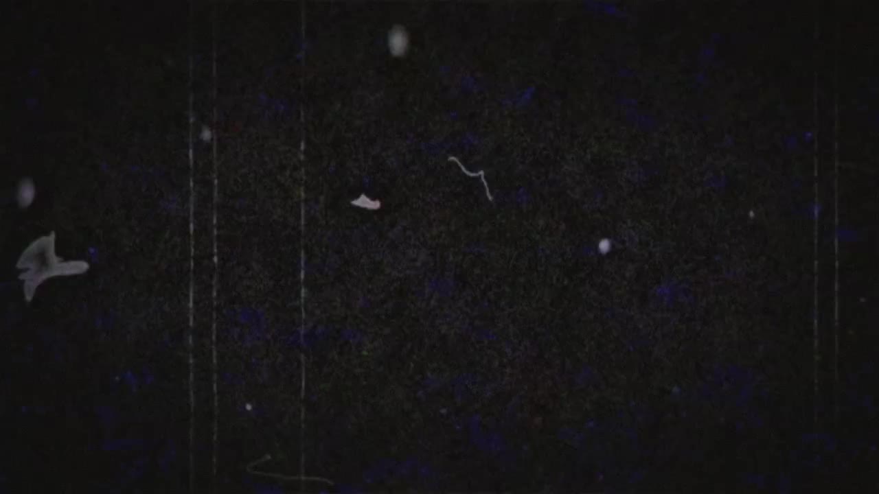 Retro Film Scratches - Stock Motion Graphics | Motion Array
