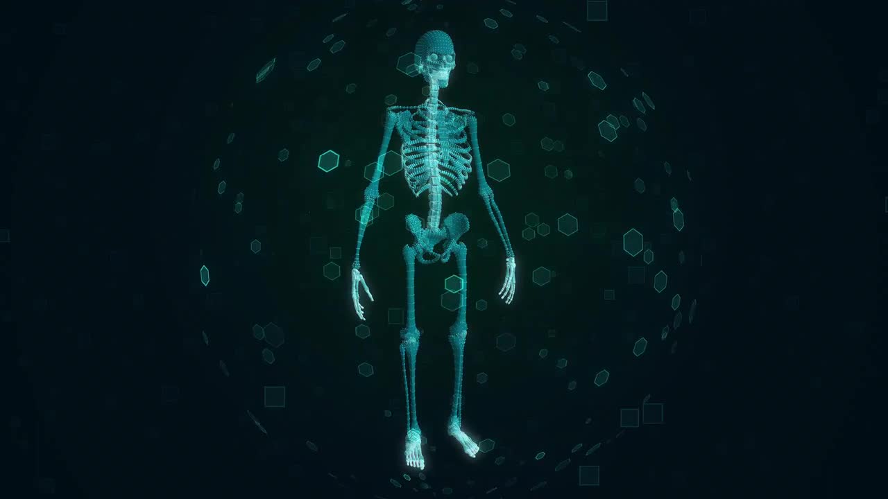 Rotating Human Skeleton Hologram - Stock Motion Graphics | Motion Array