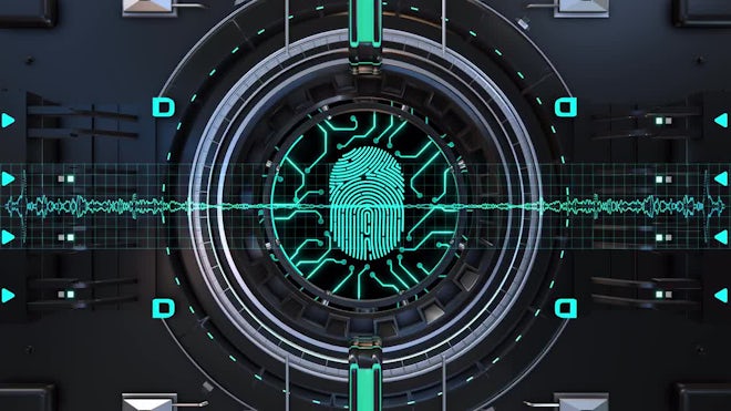 Confetti, Paper Shoot Elements - Stock Motion Graphics | Motion Array