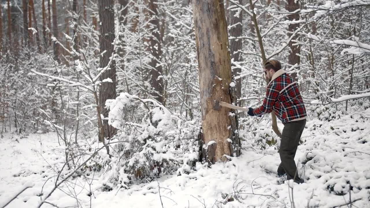 Man Chopping Tree - Stock Video | Motion Array