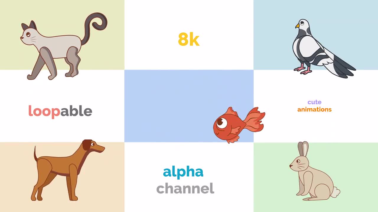 Looping Cute Animals 8K Pack - Stock Motion Graphics | Motion Array