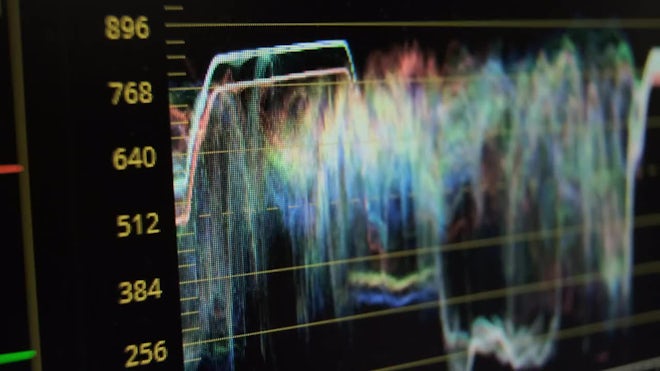 The All-in-One Video & Filmmakers Platform | Motion Array