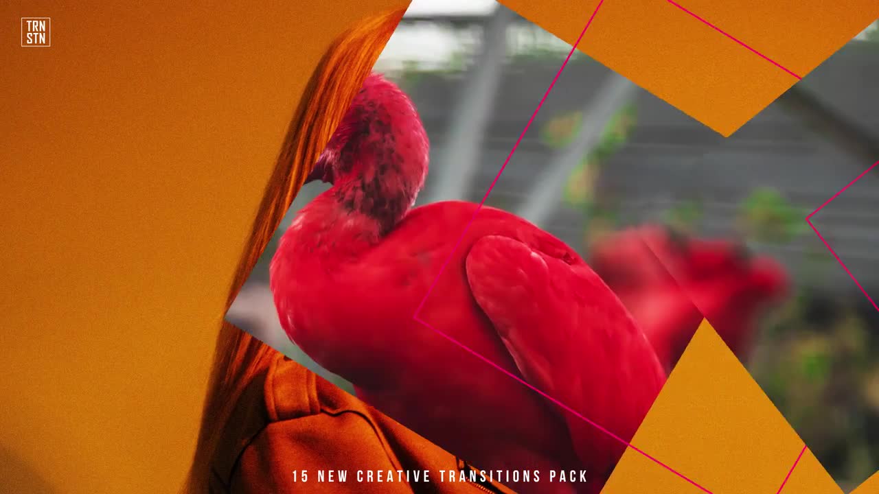 15 Trendy Transitions - Premiere Pro Templates | Motion Array