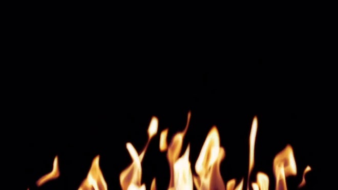 Stock Video Fire | Motion Array