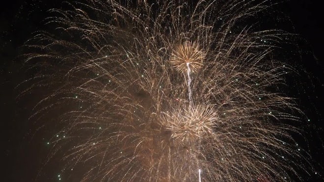 The All-in-One Video & Filmmakers Platform | Motion Array