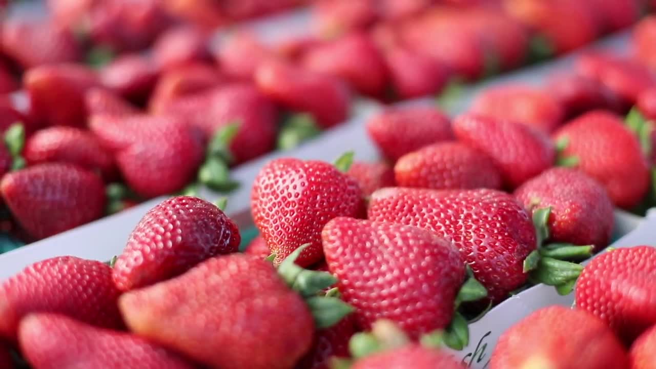 Farmers Market Strawberries - Stock Video | Motion Array