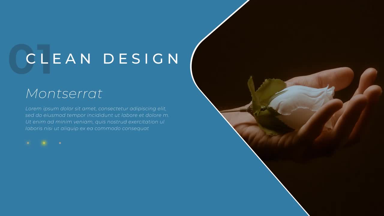 Clean Promo After Effects Templates Motion Array