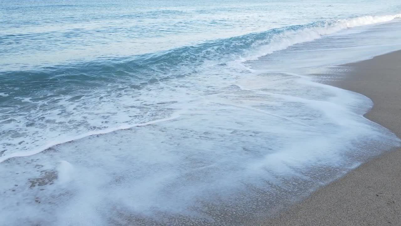 The Sandy Seashore - Stock Video | Motion Array