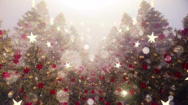 The All-in-One Video & Filmmakers Platform | Motion Array