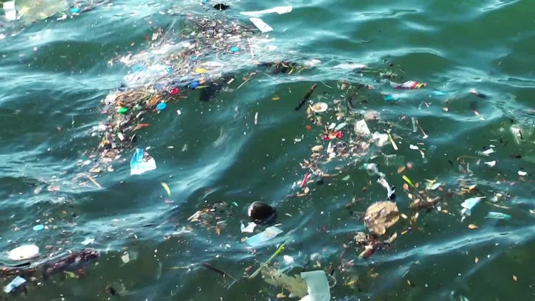 Ocean Trash Water Pollution Pack - Stock Video | Motion Array