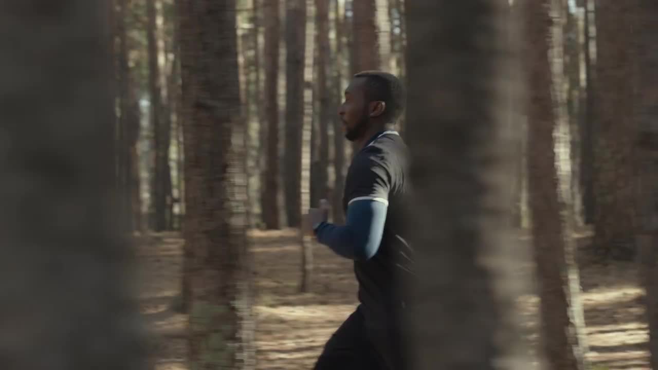 Running Between The Trees - Stock Video | Motion Array