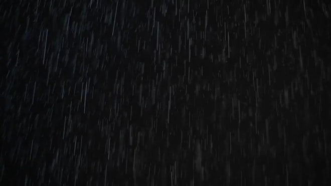 The All-in-One Video & Filmmakers Platform | Motion Array