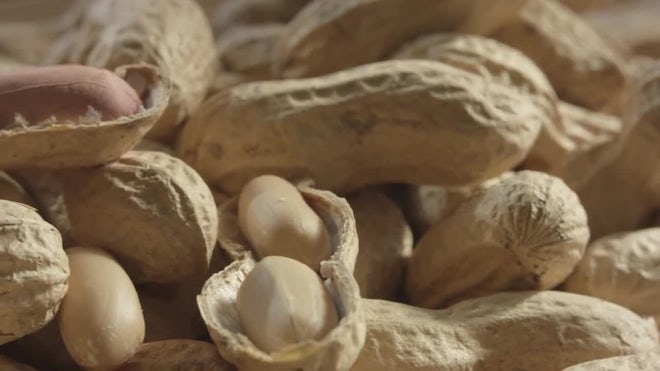 The All-in-One Video & Filmmakers Platform | Motion Array