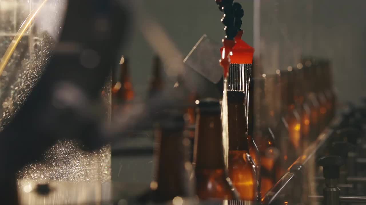 Cleaning Beer Bottles On Production Line - Stock Video | Motion Array