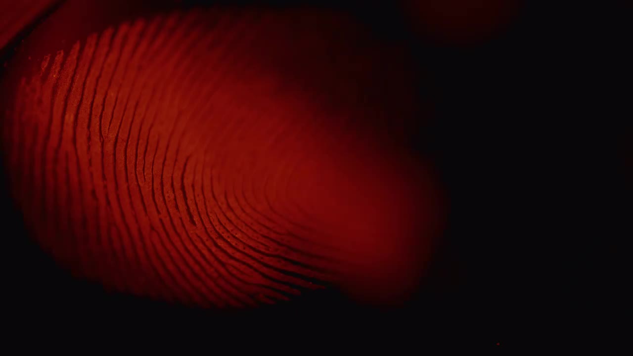 Fingerprint In Red Light - Stock Video | Motion Array