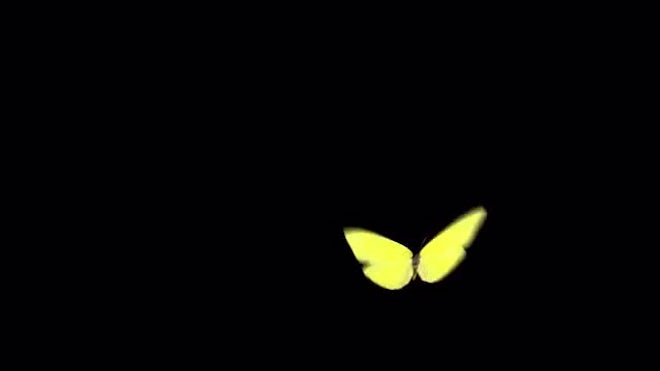 Butterflies - Stock Motion Graphics | Motion Array