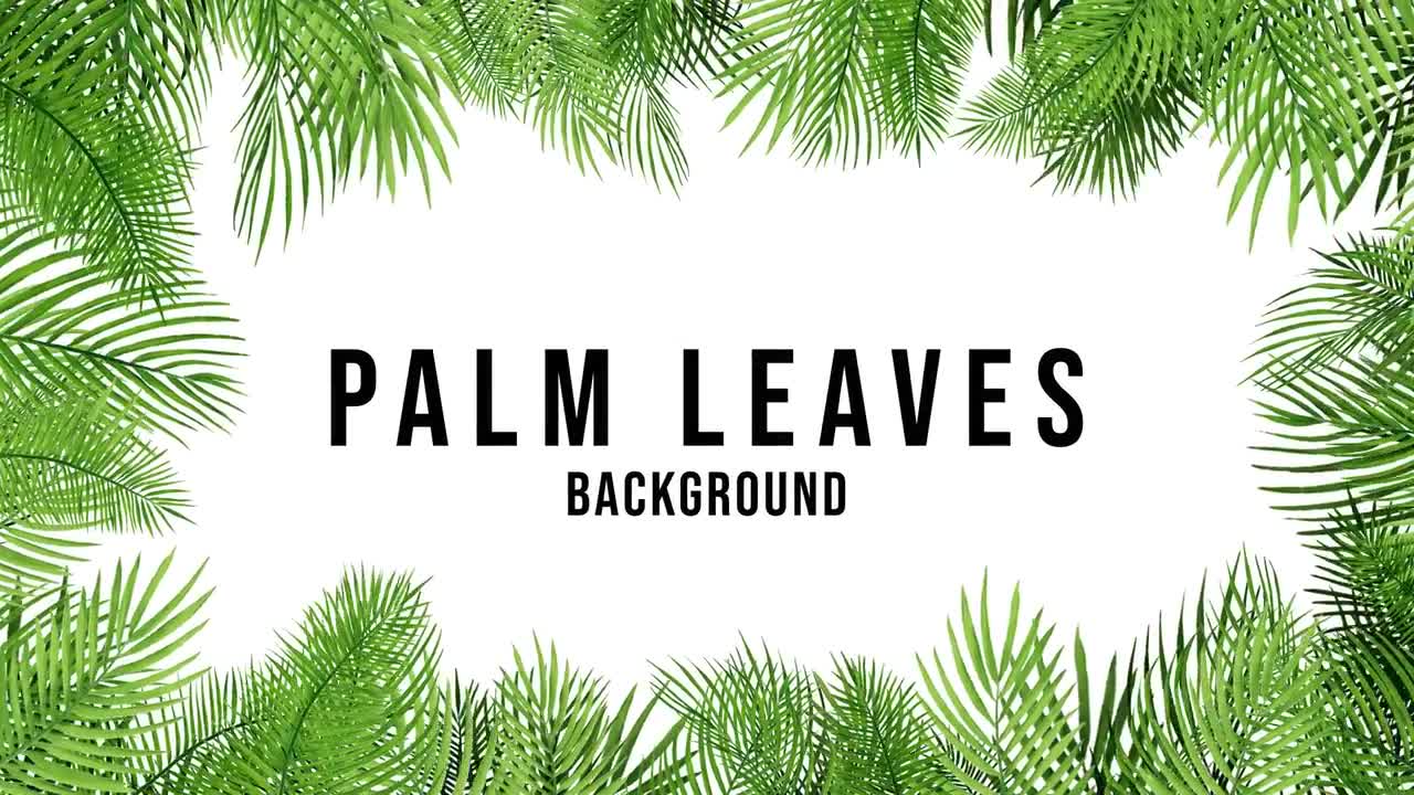 Tropical Palm Frames - Stock Motion Graphics | Motion Array