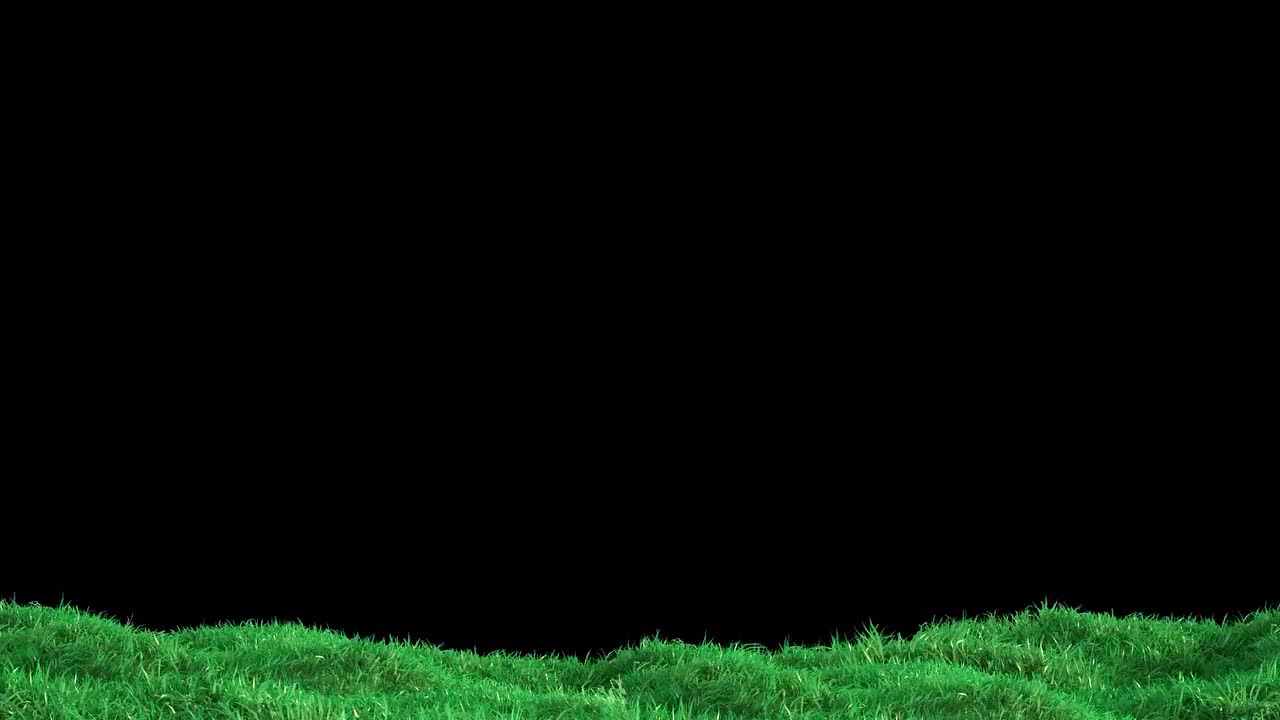 Grass Foreground Loop - Stock Motion Graphics | Motion Array