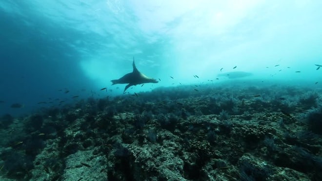 The All-in-One Video & Filmmakers Platform | Motion Array