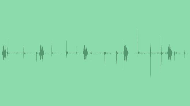 Tree Branch Breaking With Leg - Sound Effects | Motion Array