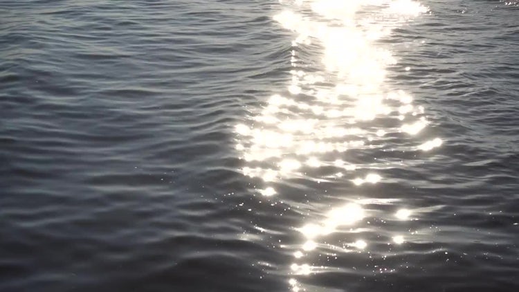 Sunlight Sparkling on Ocean Water - Stock Video | Motion Array