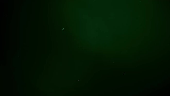 Stock Video Dust | Motion Array