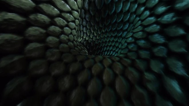 The All-in-One Video & Filmmakers Platform | Motion Array